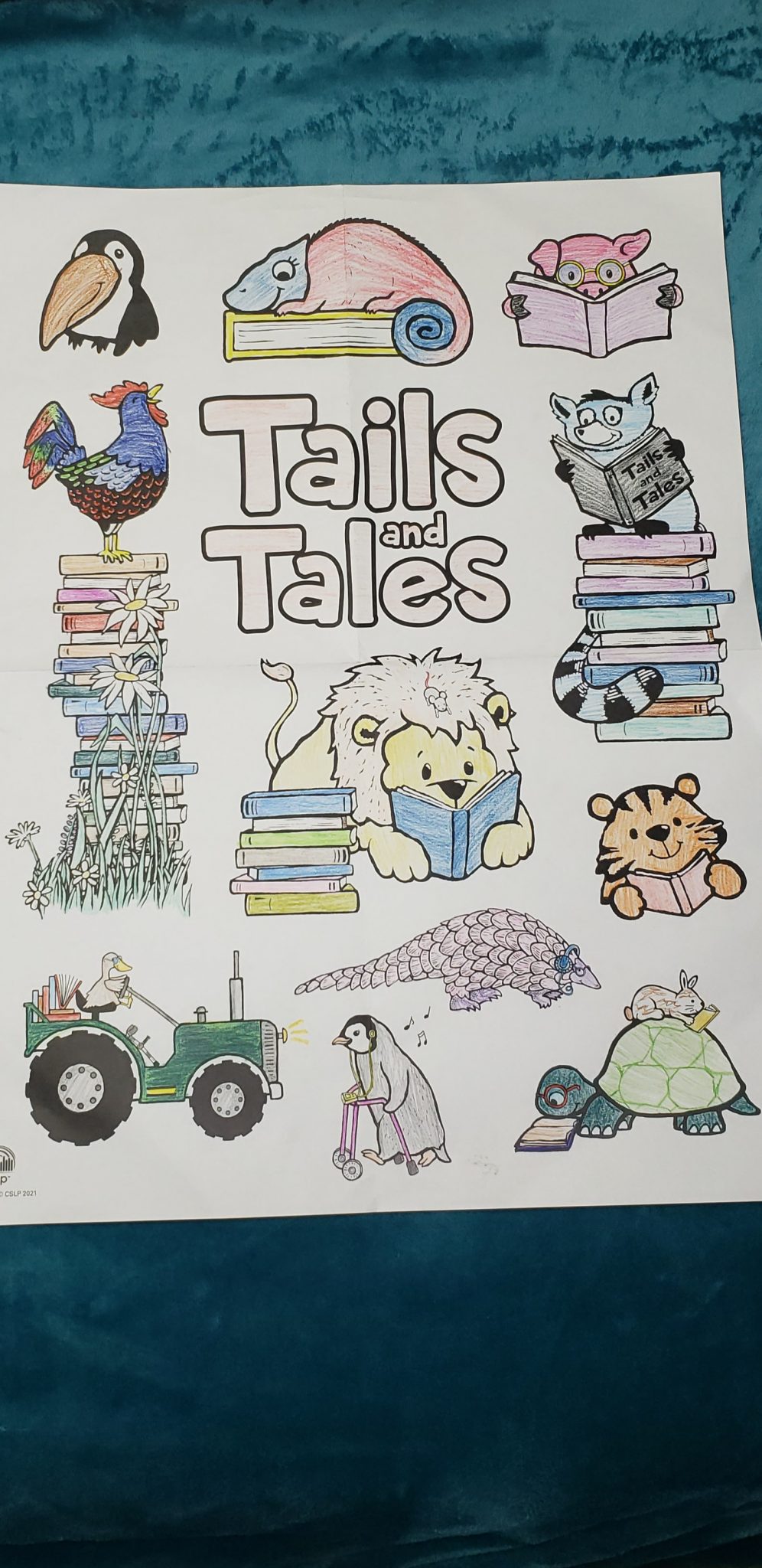 2021 Summer Reading Craft Pictures – Didymus Thomas Memorial Library ...